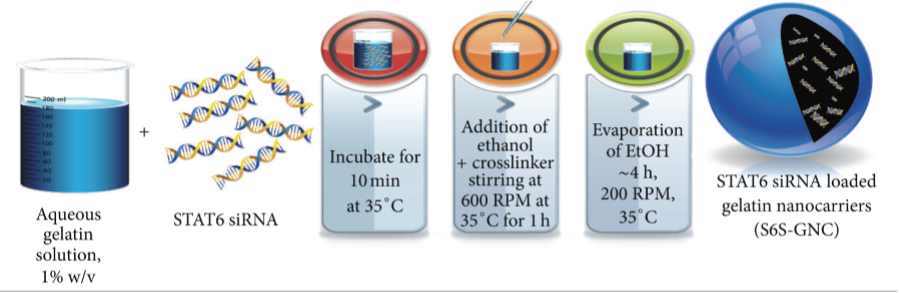 Research | Mercer College of Pharmacy