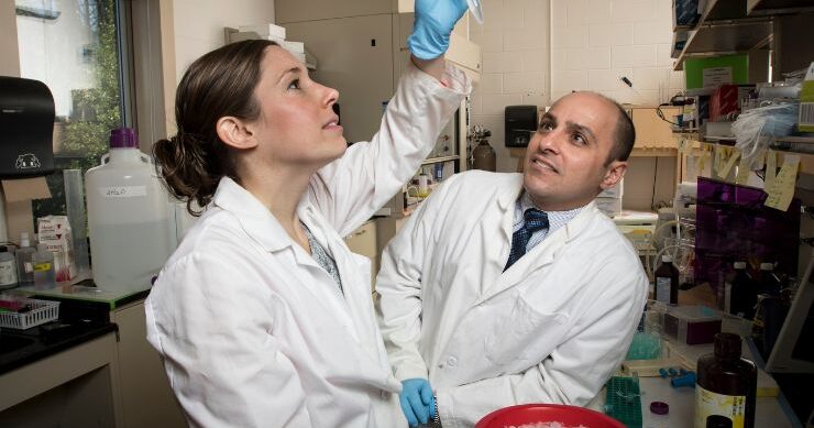 PharmD vs. PhD vs. Master of Science | Mercer U.